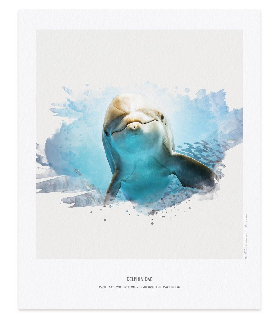 Shop Casa Art Collection - Casa Art Collection - Fine Art Printing ...